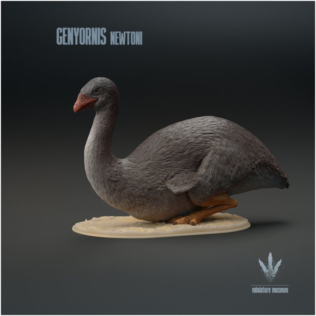 Genyornis Newtoni : Sitting - UNPAINTED - Miniature Museum - Etsy