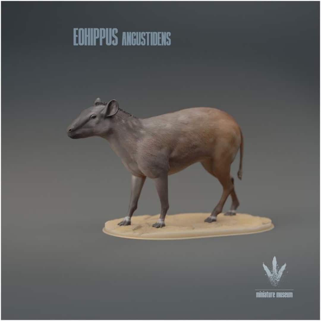 Eohippus Angustidens : the Dawn Horse - UNPAINTED 3D Figurine ...