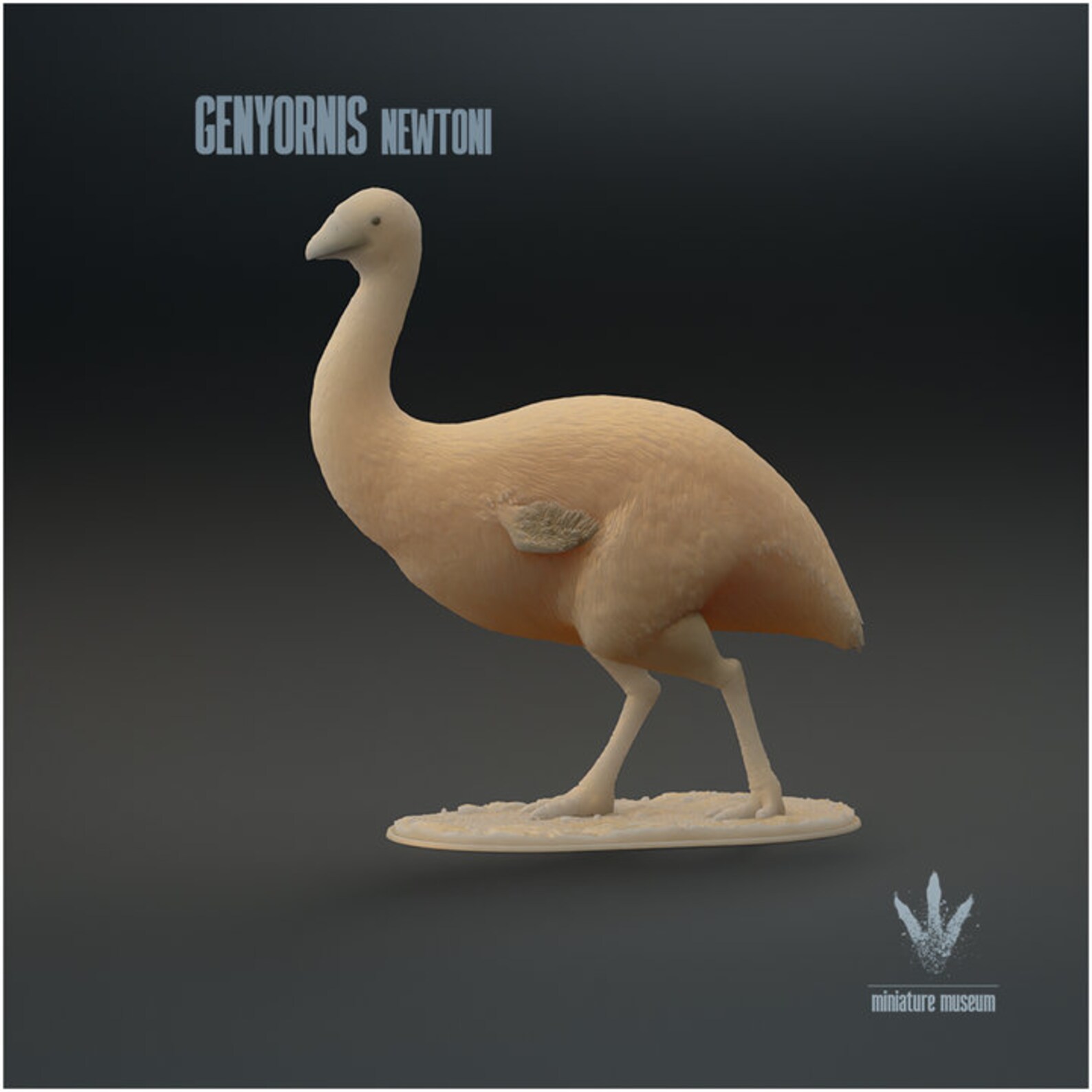 Genyornis Newtoni : the Thunder Bird - UNPAINTED - Miniature Museum - Etsy