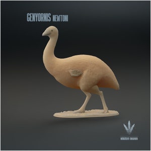 Genyornis Newtoni : the Thunder Bird - UNPAINTED - Miniature Museum - Etsy