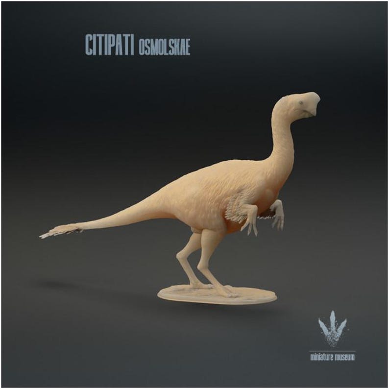 Citipati Osmolskae : Mongolian Oviraptor - UNPAINTED - Miniature Museum ...