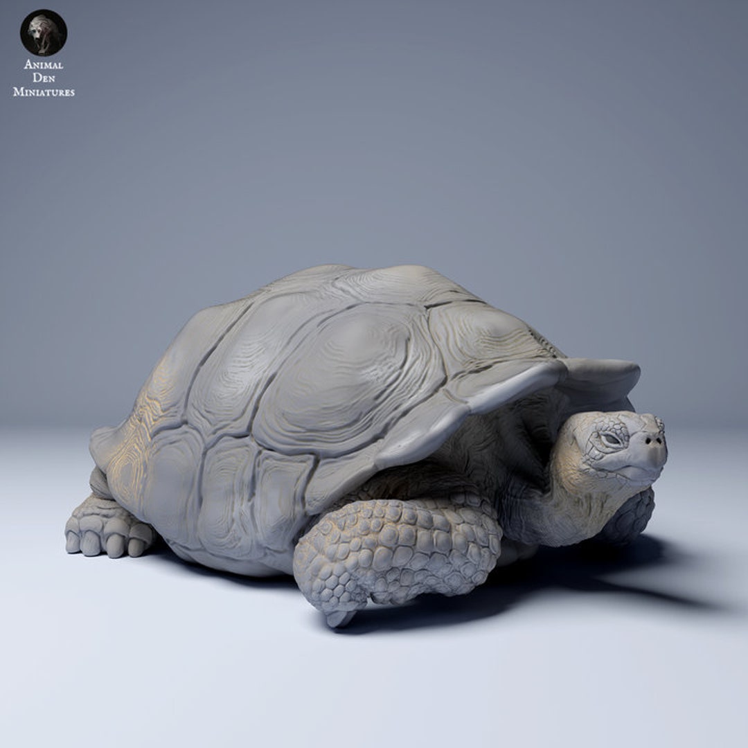 Galápagos Giant Tortoise Chillin - UNPAINTED - Animal Den Miniatures - Etsy