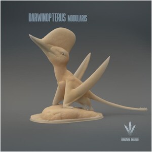 Darwinopterus Modularis : Darwin's Wing - UNPAINTED 3D Figurine ...