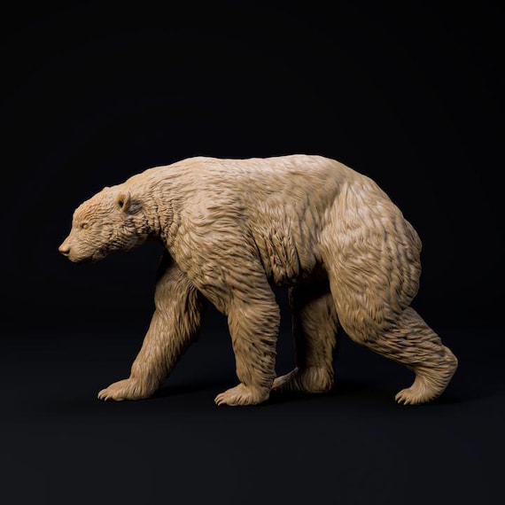 Arctodus Simus Bear