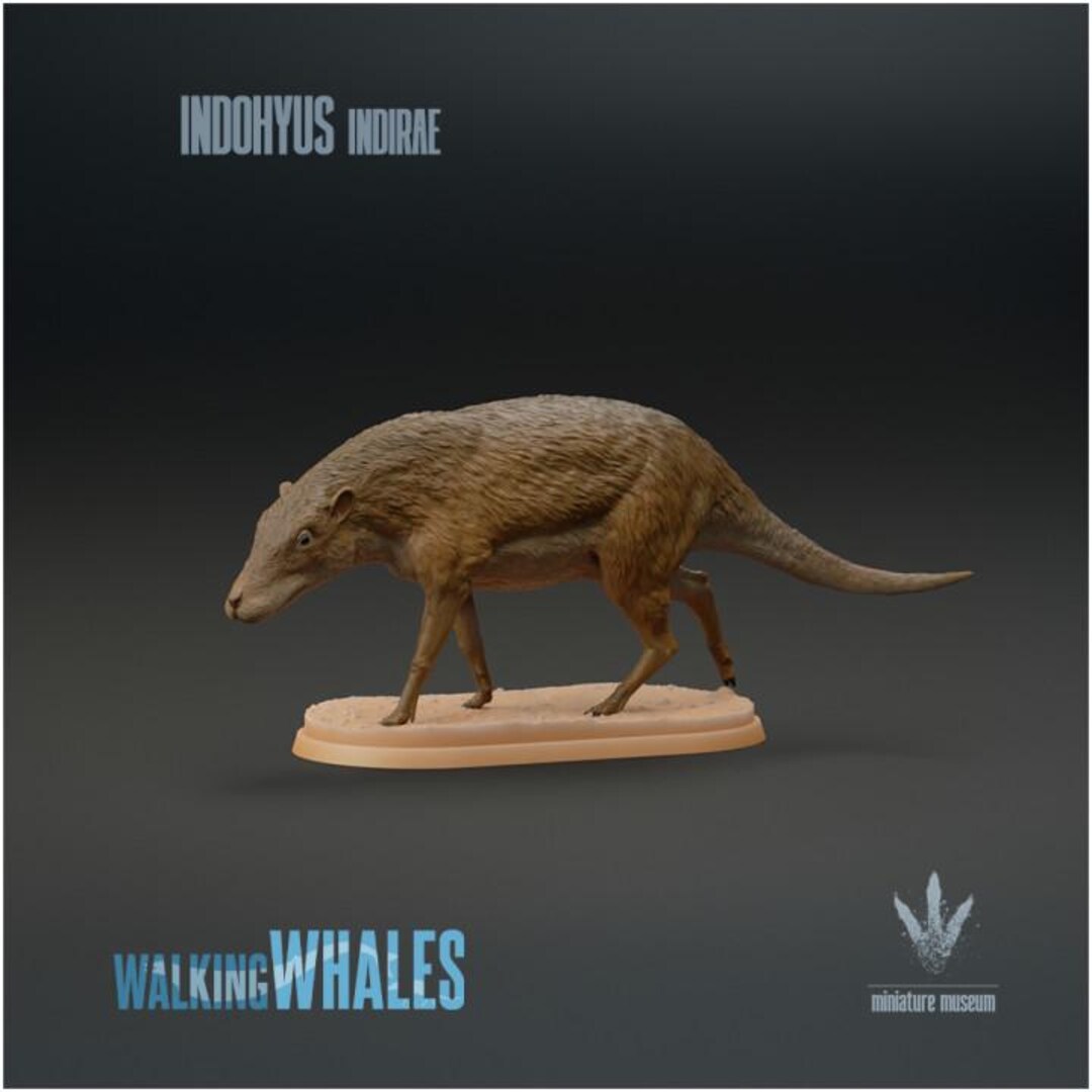 Indohyus Indirae : the Missing Link - UNPAINTED 3D Figure - Miniature ...