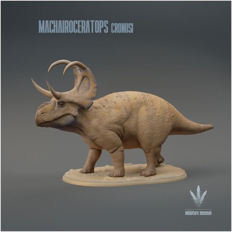 Machairoceratops Cronusi : the Bent Sword Horned-face - UNPAINTED 3D ...