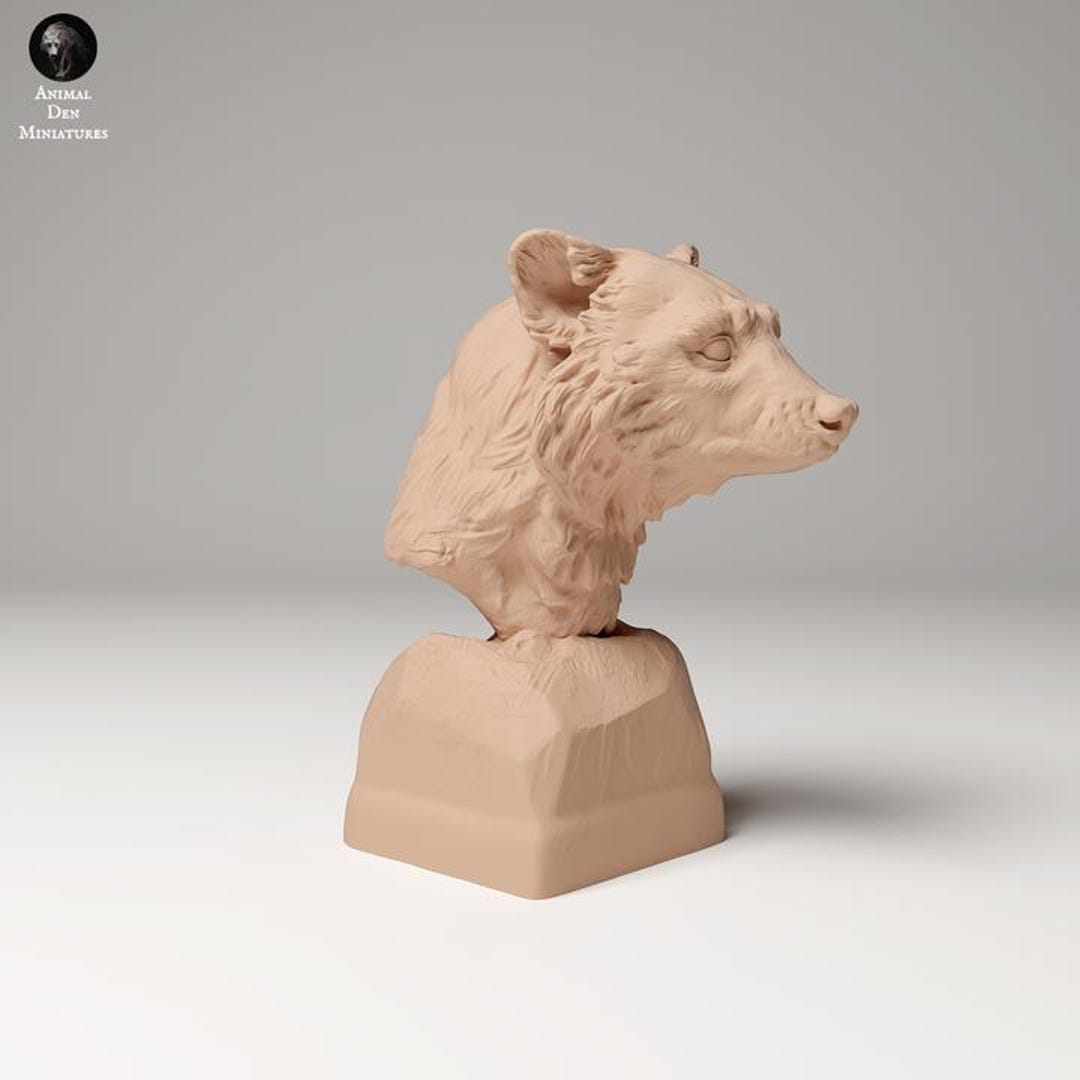 Common Raccoon Bust - UNPAINTED - Animal Den Miniatures - Etsy