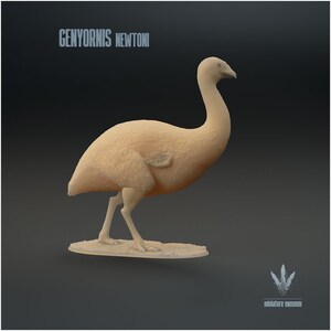 Genyornis Newtoni : the Thunder Bird - UNPAINTED - Miniature Museum - Etsy