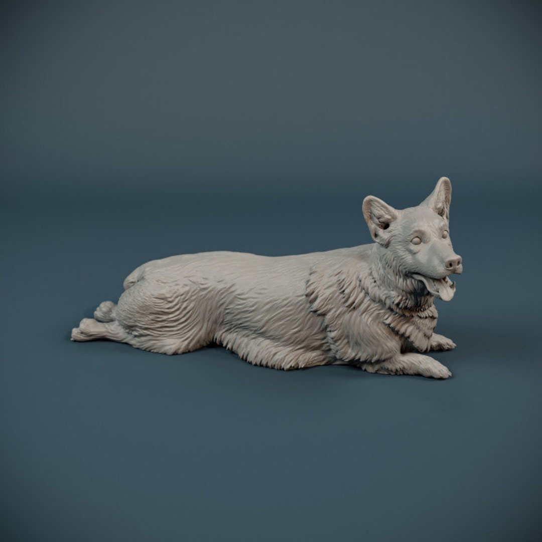 Corgi Chillin' - Dino and Dog Miniatures - Etsy