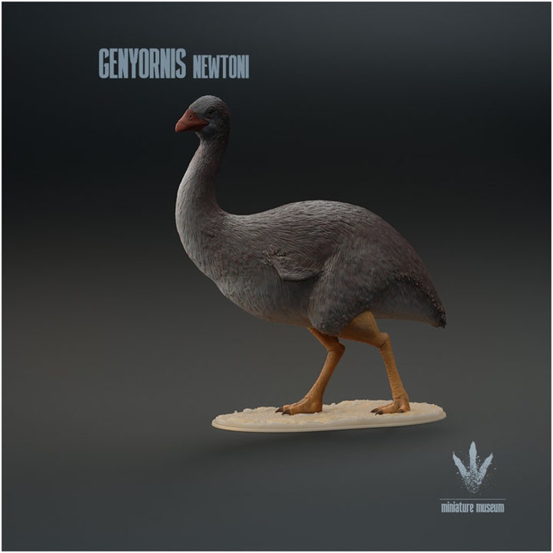 Genyornis Newtoni : the Thunder Bird - UNPAINTED - Miniature Museum - Etsy