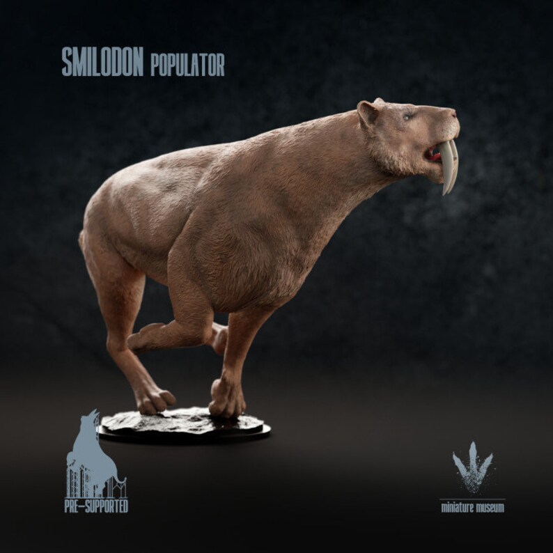 Smilodon Populator - UNPAINTED - Miniature Museum - Etsy