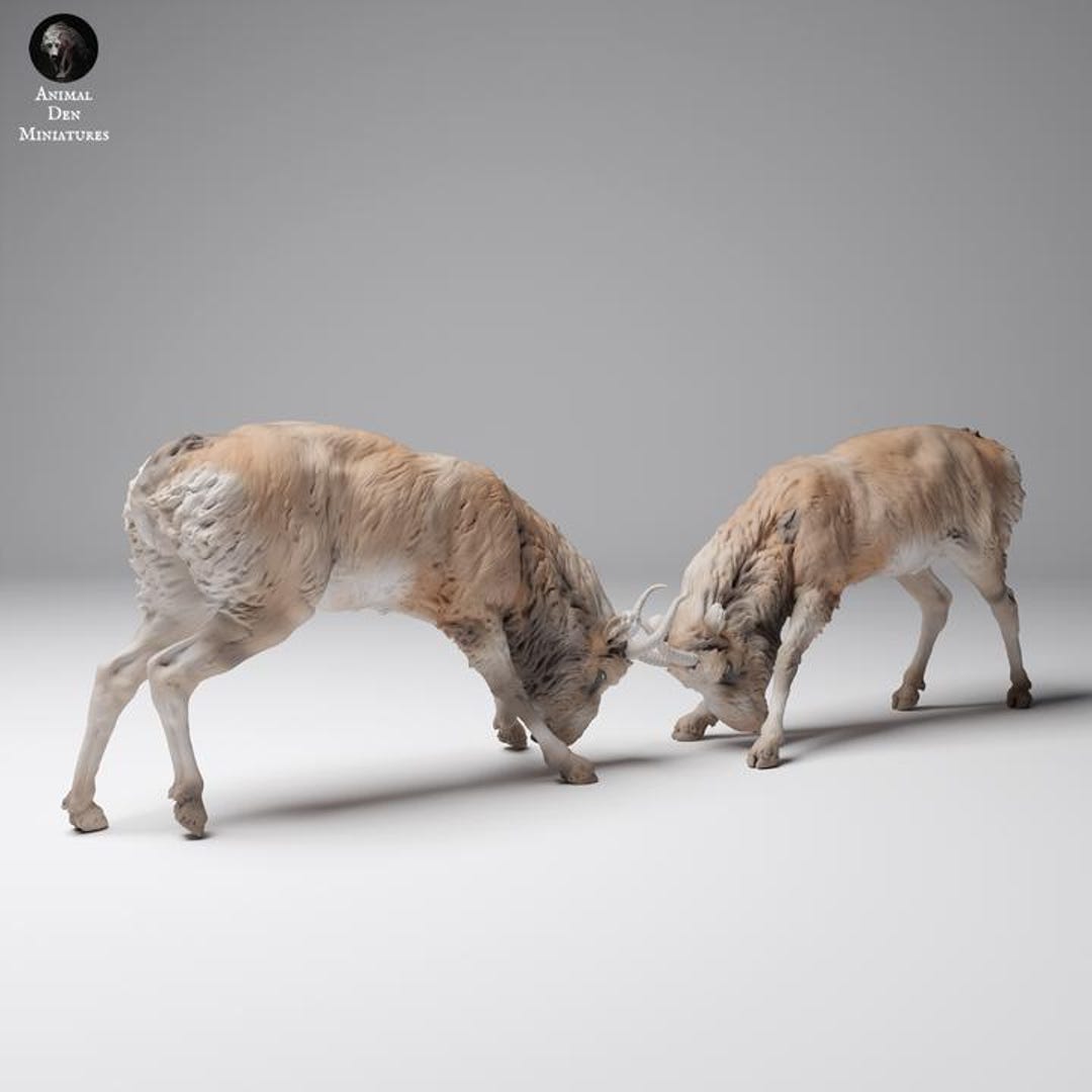 Mongolian Saiga Males Fight - UNPAINTED 3D Resin Print/figure - Animal ...