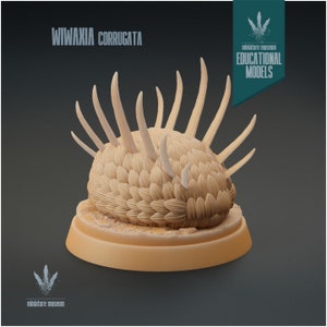 Wiwaxia Corrugata - UNPAINTED - Miniature Museum - Etsy