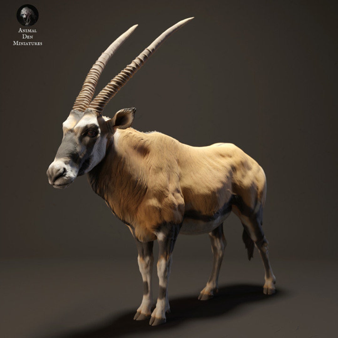Gemsbok - UNPAINTED - Animal Den Miniatures - Etsy