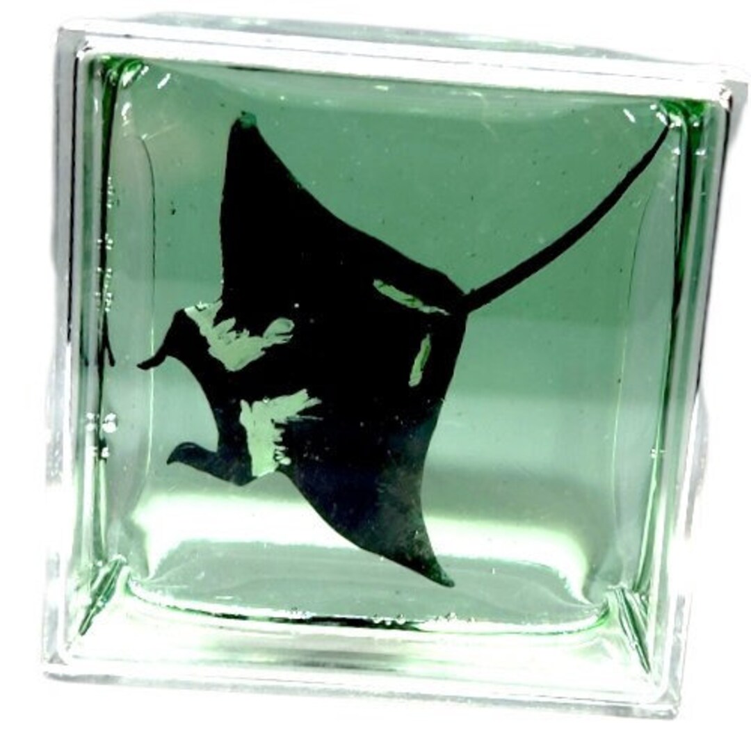 Manta Ray Diorama Elemental Dragons - Etsy