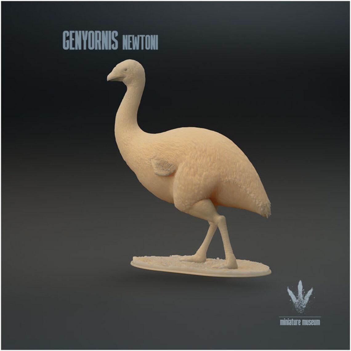 Genyornis Newtoni : the Thunder Bird - UNPAINTED - Miniature Museum - Etsy