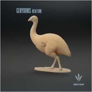 Genyornis Newtoni : the Thunder Bird - UNPAINTED - Miniature Museum - Etsy
