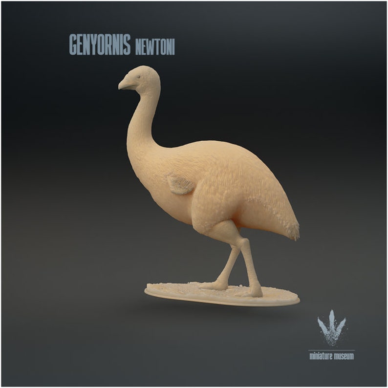 Genyornis Newtoni : the Thunder Bird - UNPAINTED - Miniature Museum - Etsy