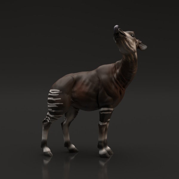 Okapi - Etsy