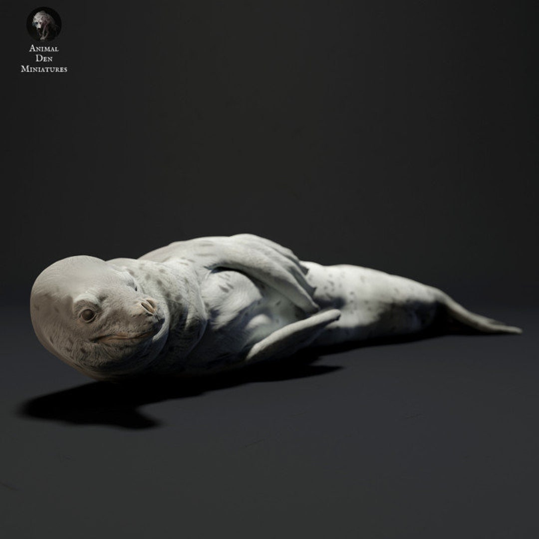 Leopard Seal - UNPAINTED - Animal Den Miniatures - Etsy