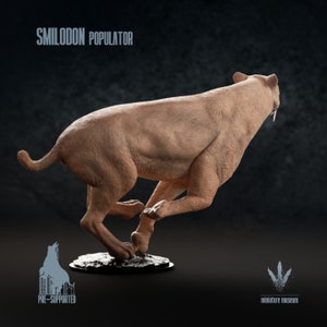 Smilodon Populator - UNPAINTED - Miniature Museum - Etsy