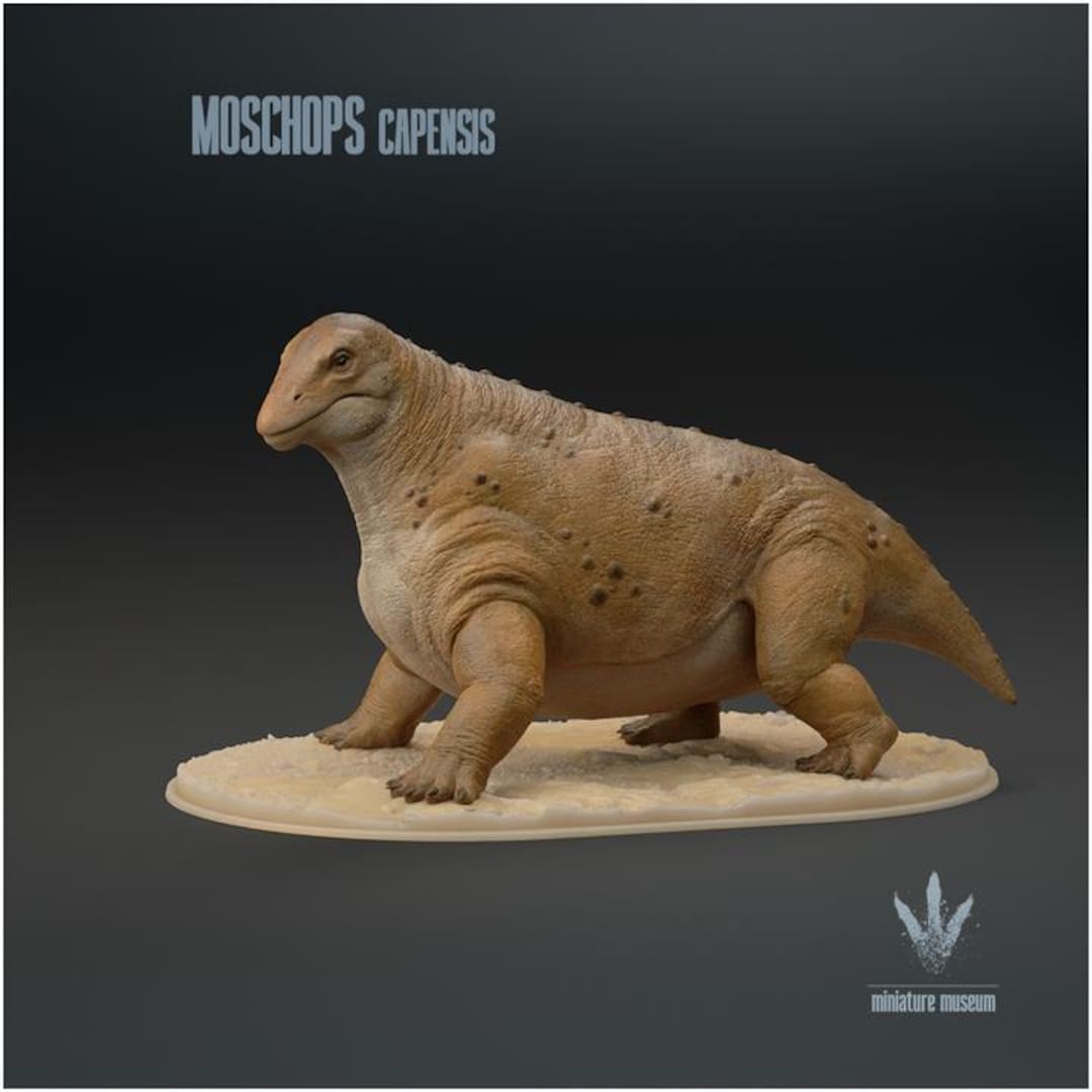 Moschops Capensis : the Calf Face - UNPAINTED 3D Resin Print ...