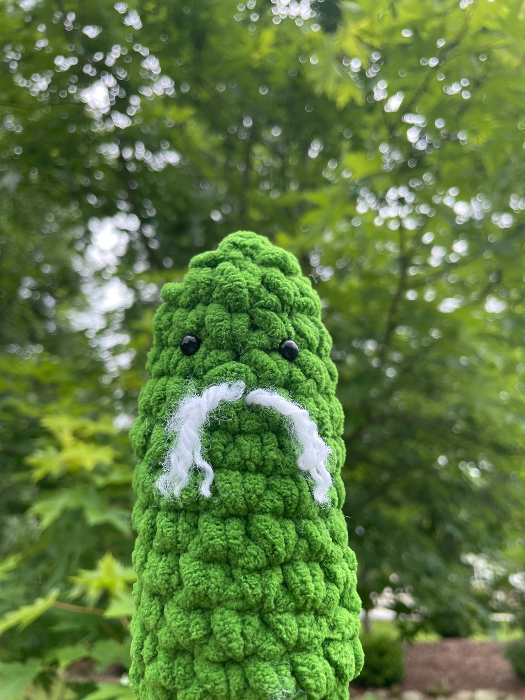 Pickle Squishy With a Mustache - Etsy