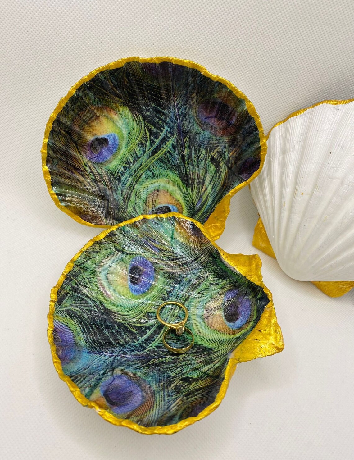 Peacock Design Decoupage and Painted Scallop Shells - Etsy Canada