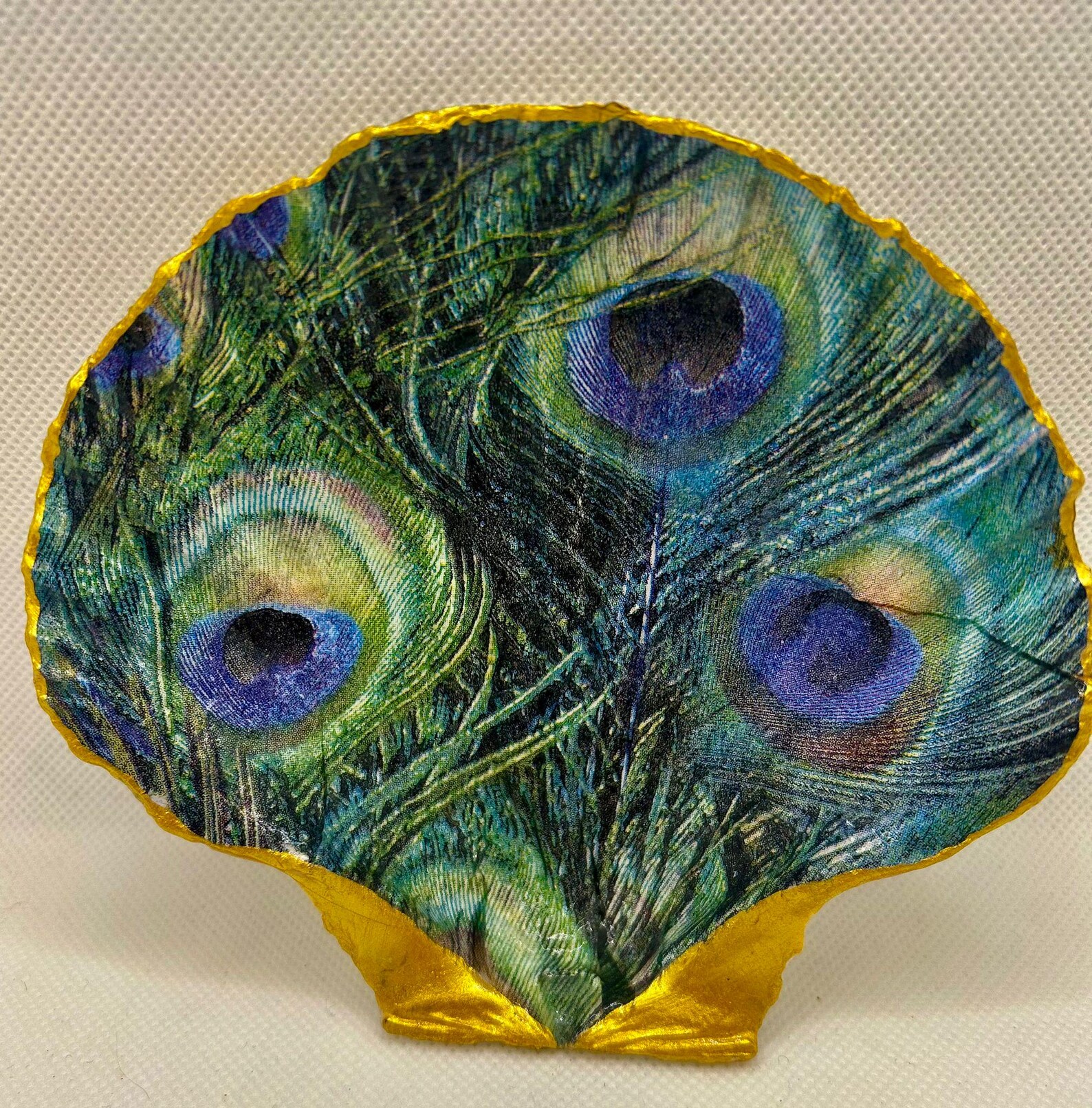 Peacock Design - Decoupage and Painted Scallop Shells - Etsy