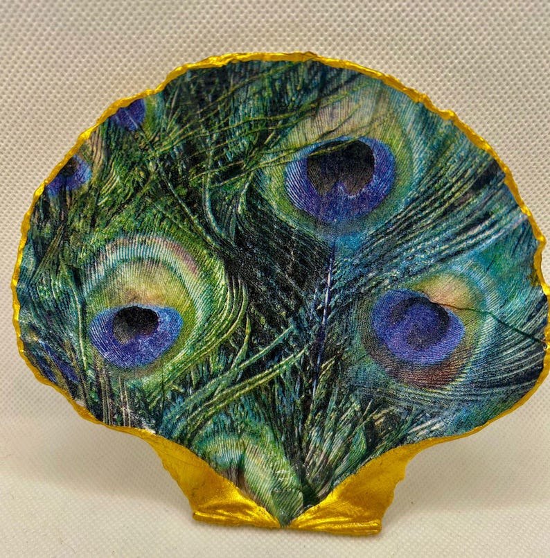 Peacock Design - Decoupage and Painted Scallop Shells - Etsy