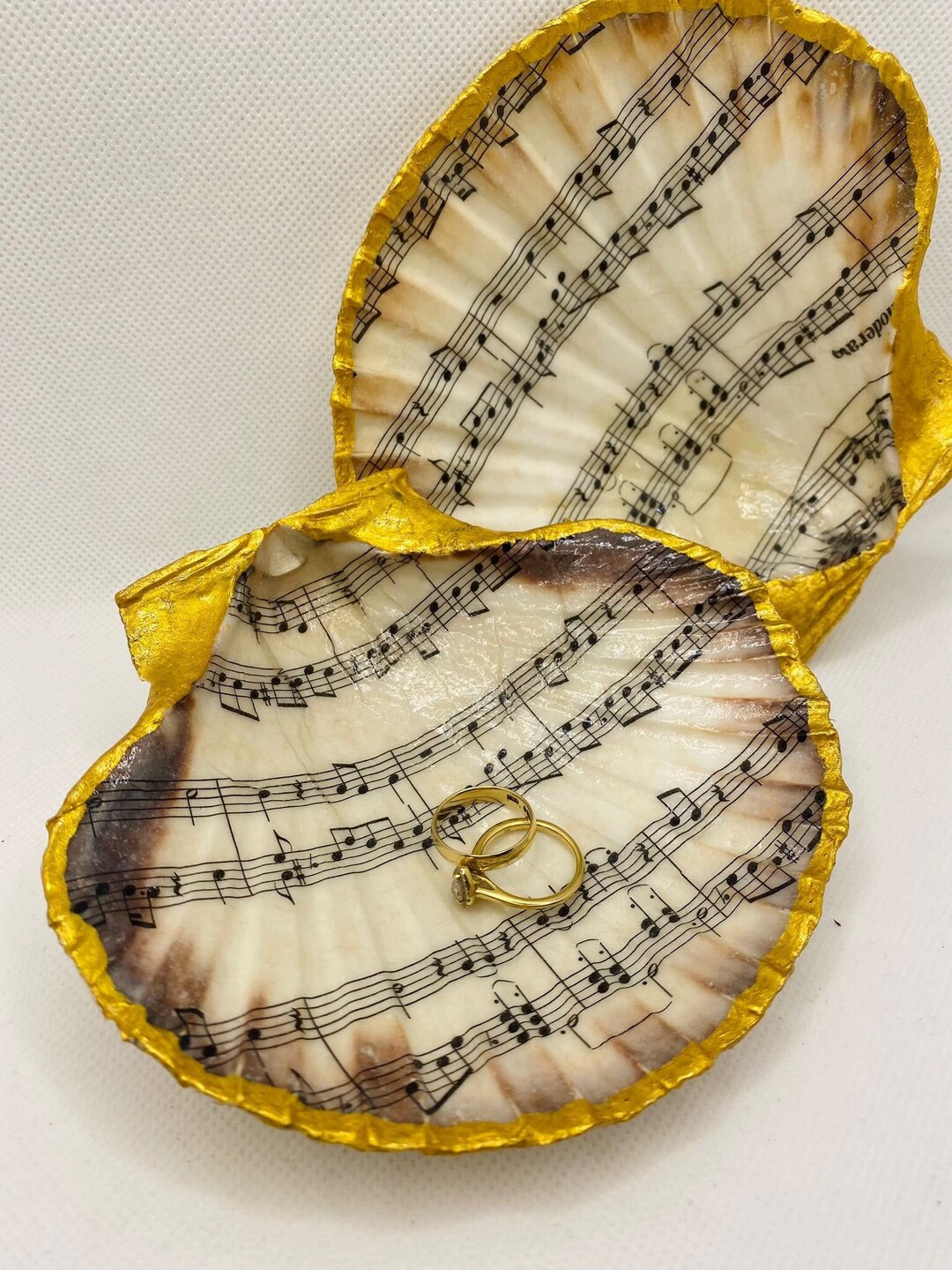 Music Note Design Decoupage and Painted Scallop Shells - Etsy UK
