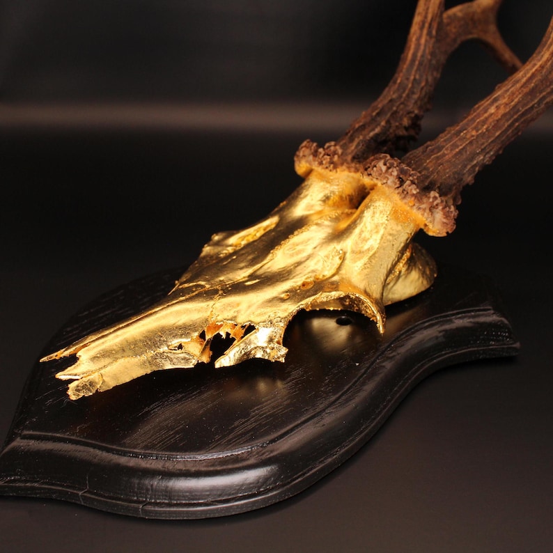 24K Gold Leaf on Deer Skull Trophy Handmade Wall Decoration Antlers ...