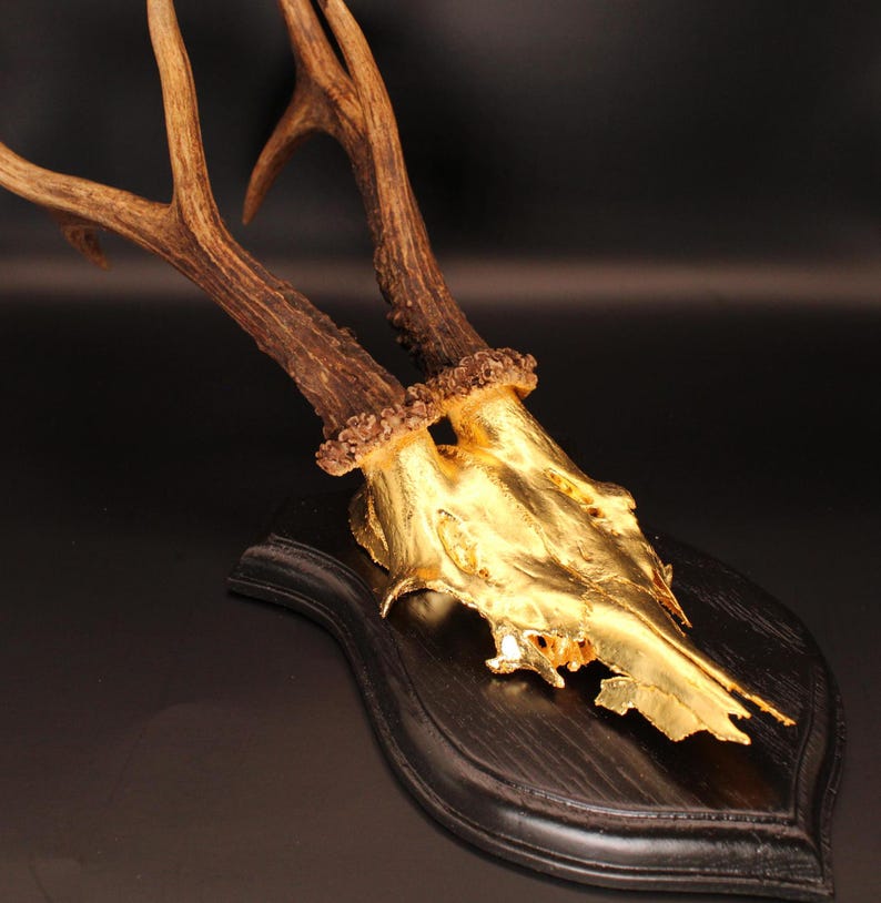 24K Gold Leaf on Deer Skull Trophy Handmade Wall Decoration Antlers ...