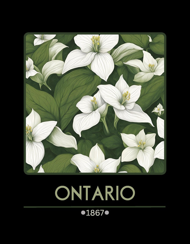 Ontario White Trillium Design PNG & SVG Digital Download T-shirt or ...
