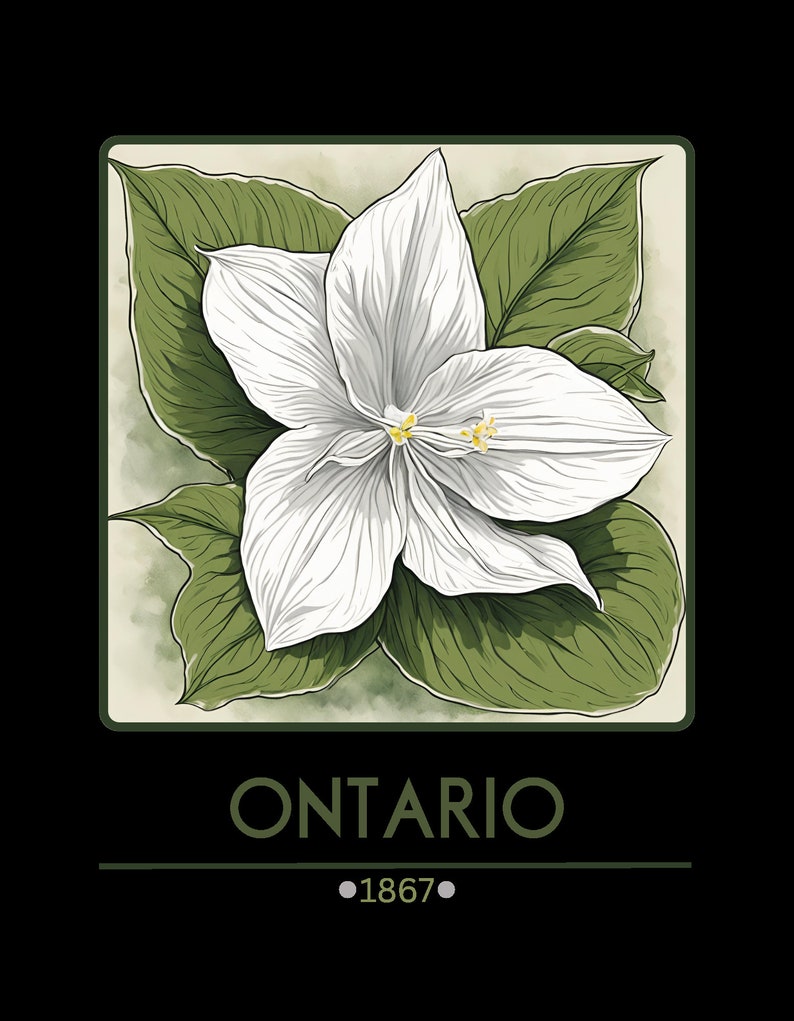 Ontario White Trillium Design PNG & SVG Digital Download T-shirt or ...
