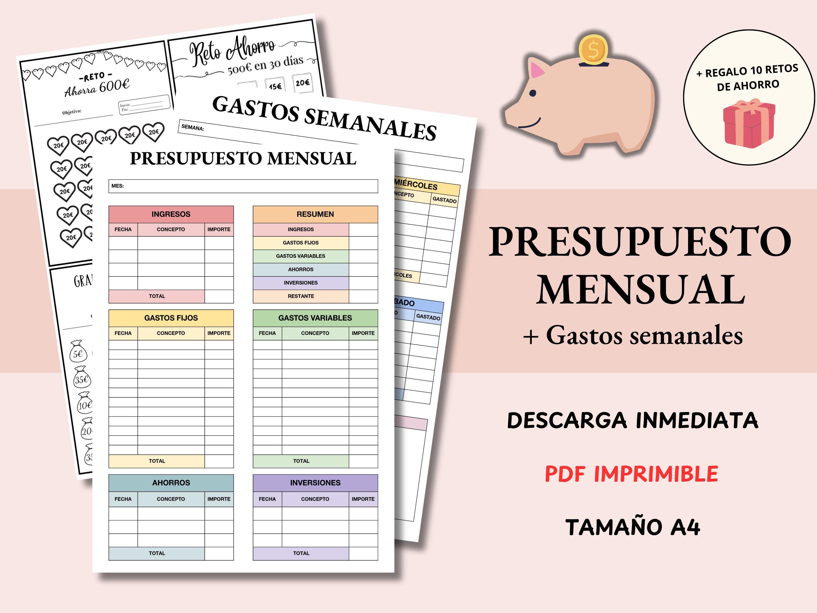 Planificador de finanzas seguimiento de ingresos y gastos en ESPAÑOL ...