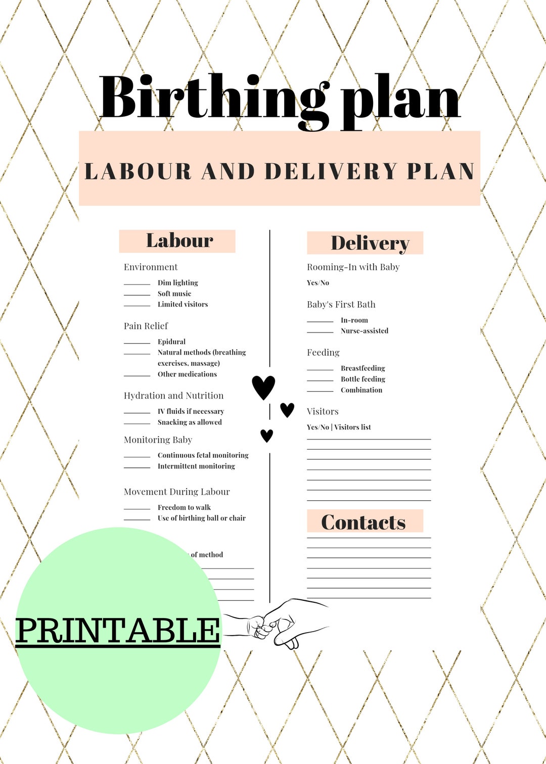 Downloadable Birth Plan Worksheet Printable Guide for Labor and ...