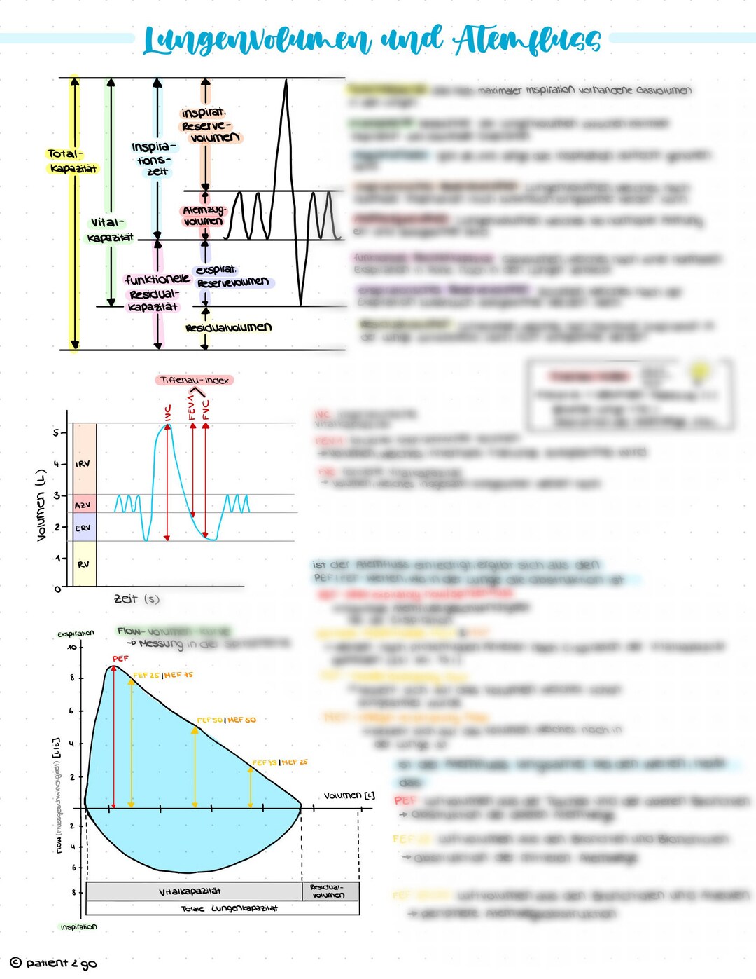 Study Sheet Lung Volume and Respiratory Flow - Etsy
