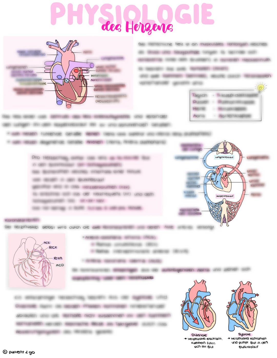 Study Notes on Cardiac Physiology, Study Notes on Physiology, Heart ...