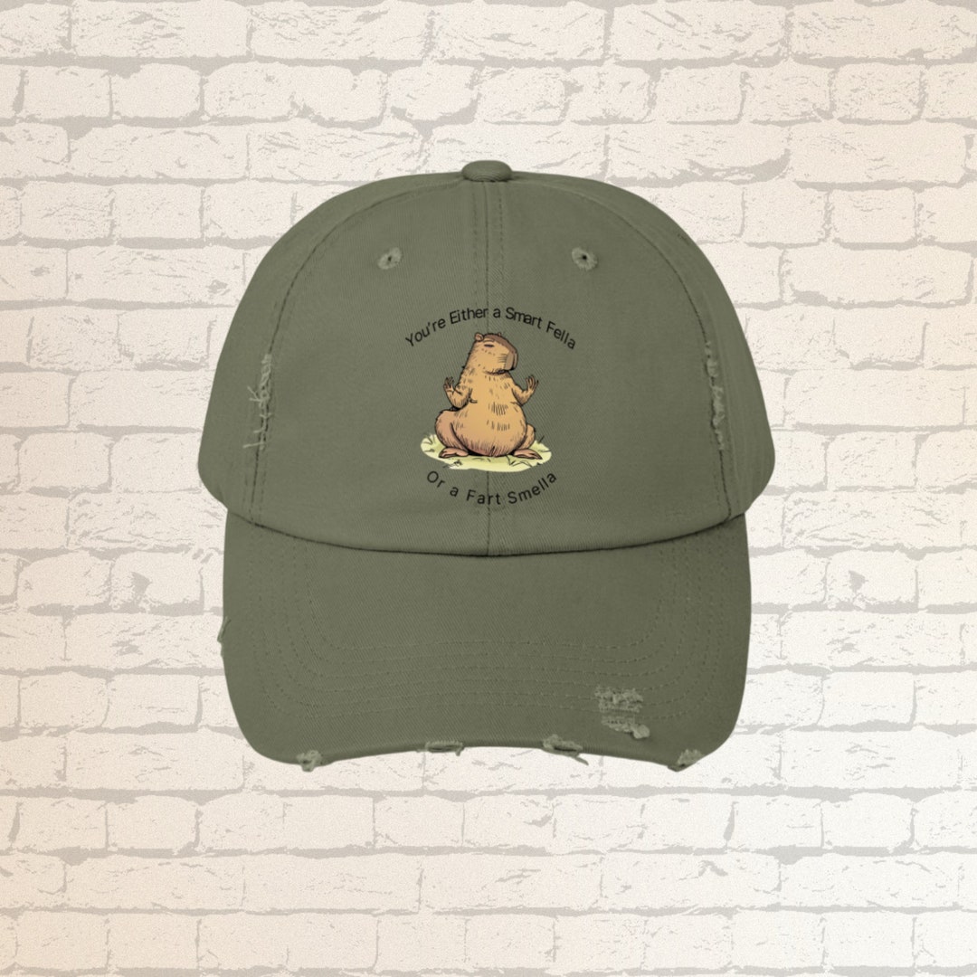 Funny Capybara Hat, Capybara Distressed Cap, Capybara Lover Gift, Ok I ...