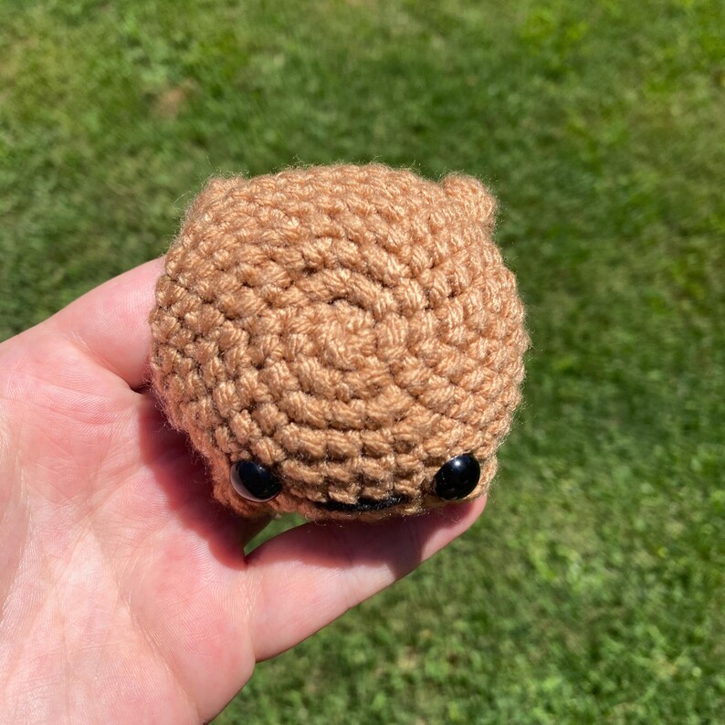 No Sew Tiny Toad Pattern - Etsy