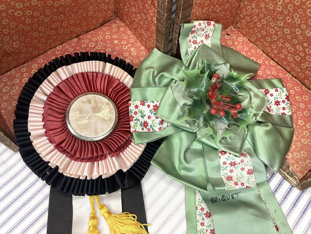 Vintage Awards Ribbons Cats, Cat Show Winner, Funny Cat House ...