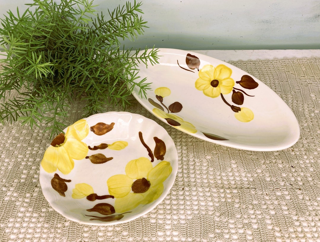 Blue Ridge Pottery-hand Painted Pottery-floral Dinnerware-southern ...