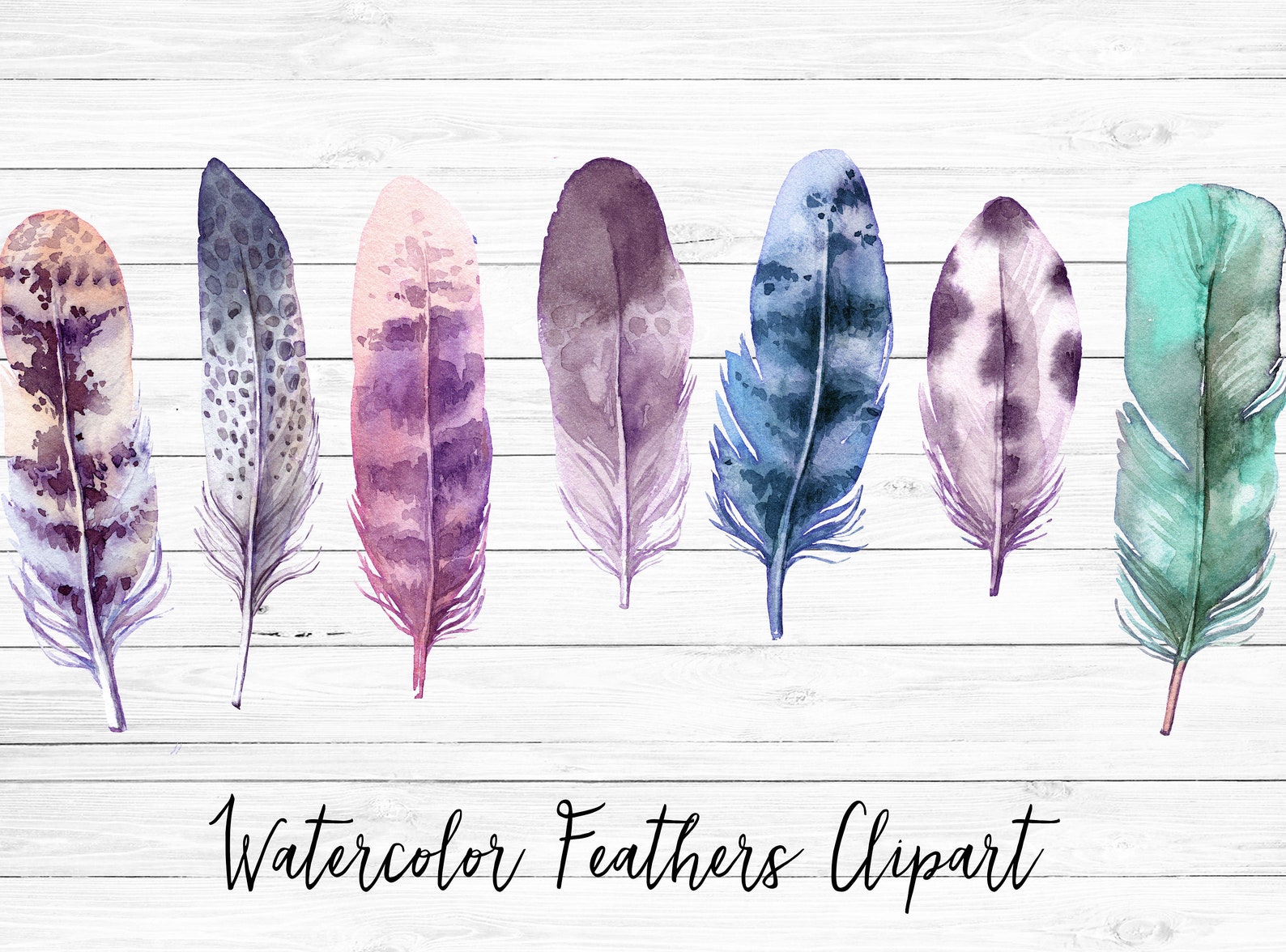 Watercolor Feathers Clip Art Hand Painted Feathers Instant | Etsy