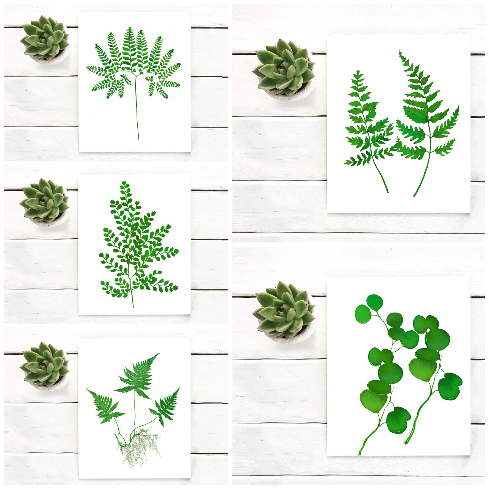 Fern Prints Printable Art Set of 5 Watercolor Green Fern Leaf - Etsy