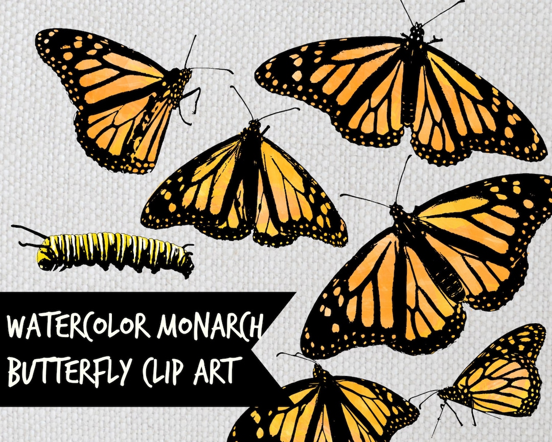 Butterfly Digital Clip Art Watercolor Monarch Butterfly Images Monarch ...
