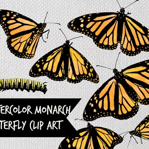 Butterfly Digital Clip Art Watercolor Monarch Butterfly Images Monarch ...