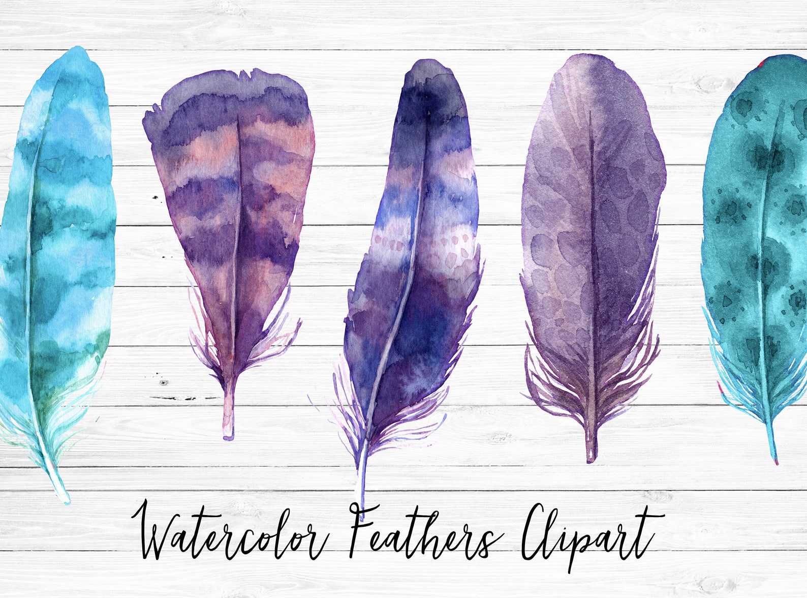 Watercolor Feathers Clip Art Hand Painted Feathers Instant | Etsy