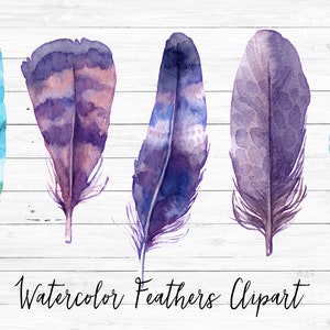 Watercolor Feathers Clip Art, Hand Painted Feathers, Instant Download ...