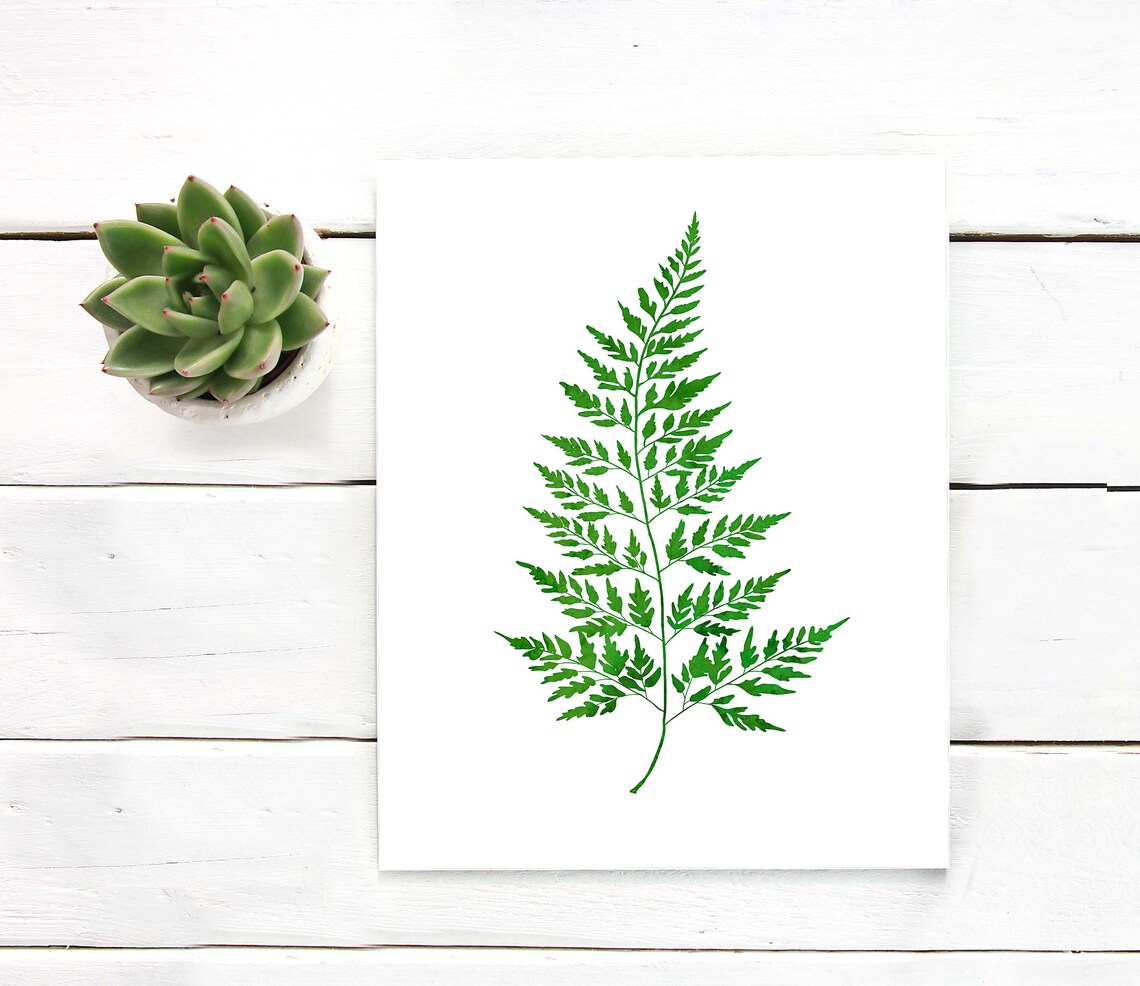 Fern Prints Printable Art Set of 5 Watercolor Green Fern Leaf - Etsy